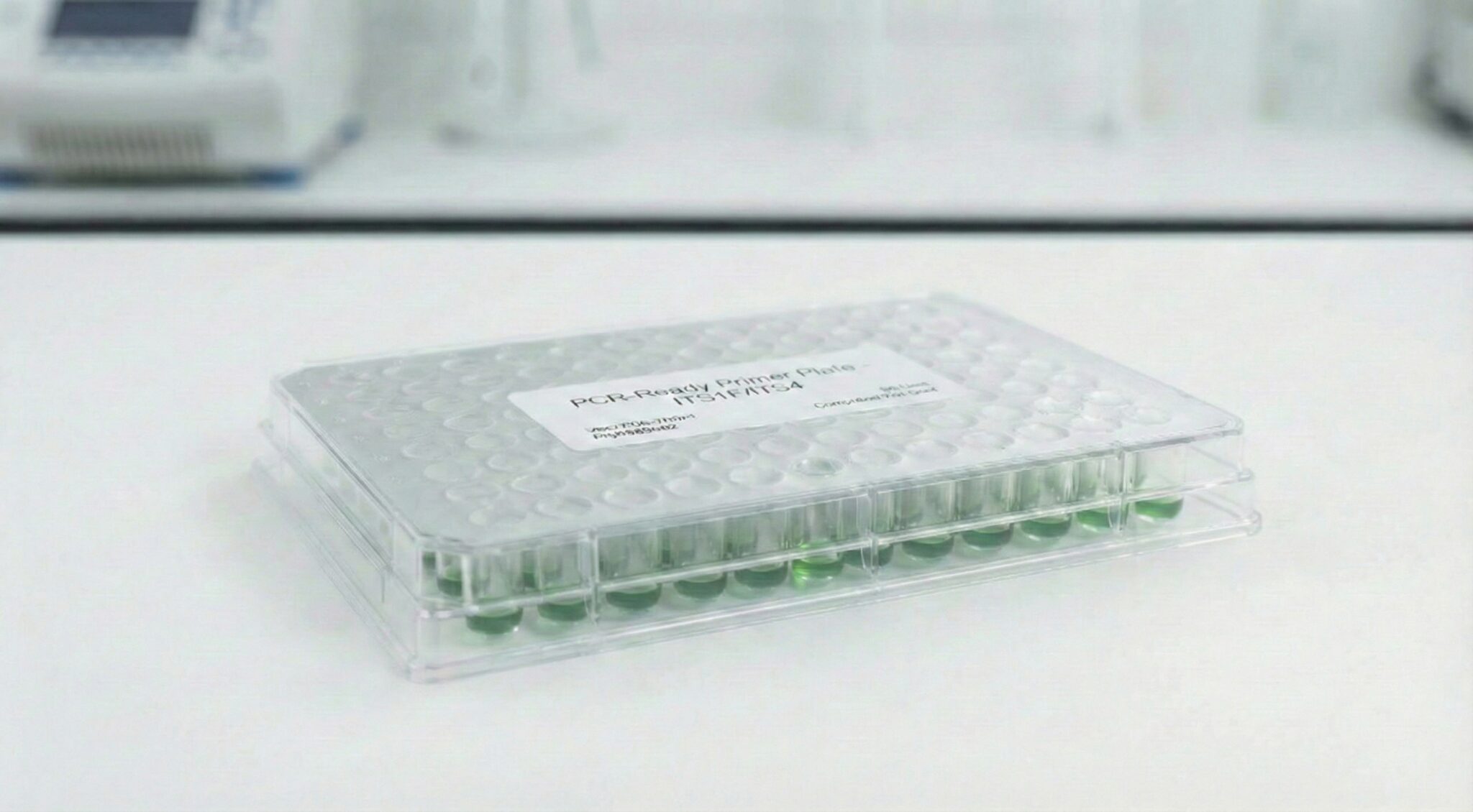 LifePool® PCR-Ready Primer Plates and Sequencing – Mycota Lab